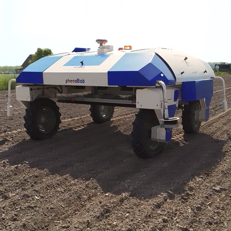 Future robotics: PhenoBob counts and measures sugar beet plants